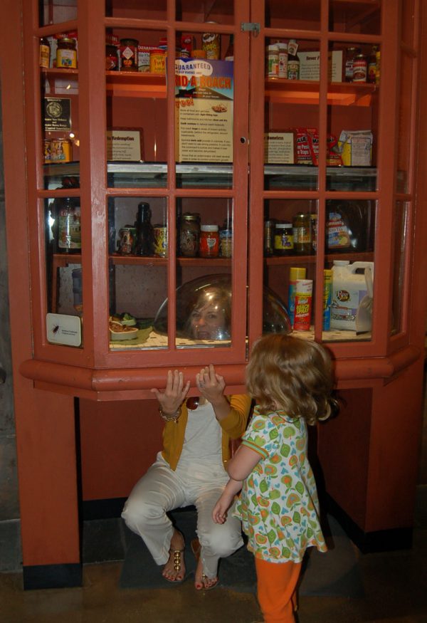 Eating Insects and Learning All About Bugs at Audubon Insectarium in ...
