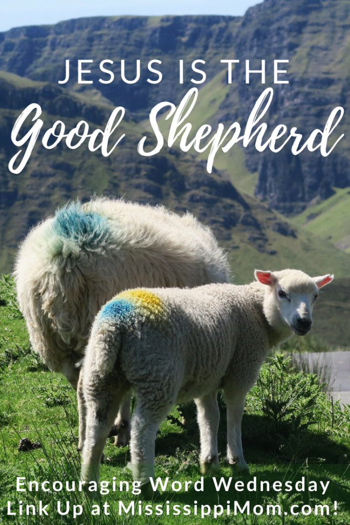 Encouraging Word Wednesday: The Good Shepherd - MississippiMom.com